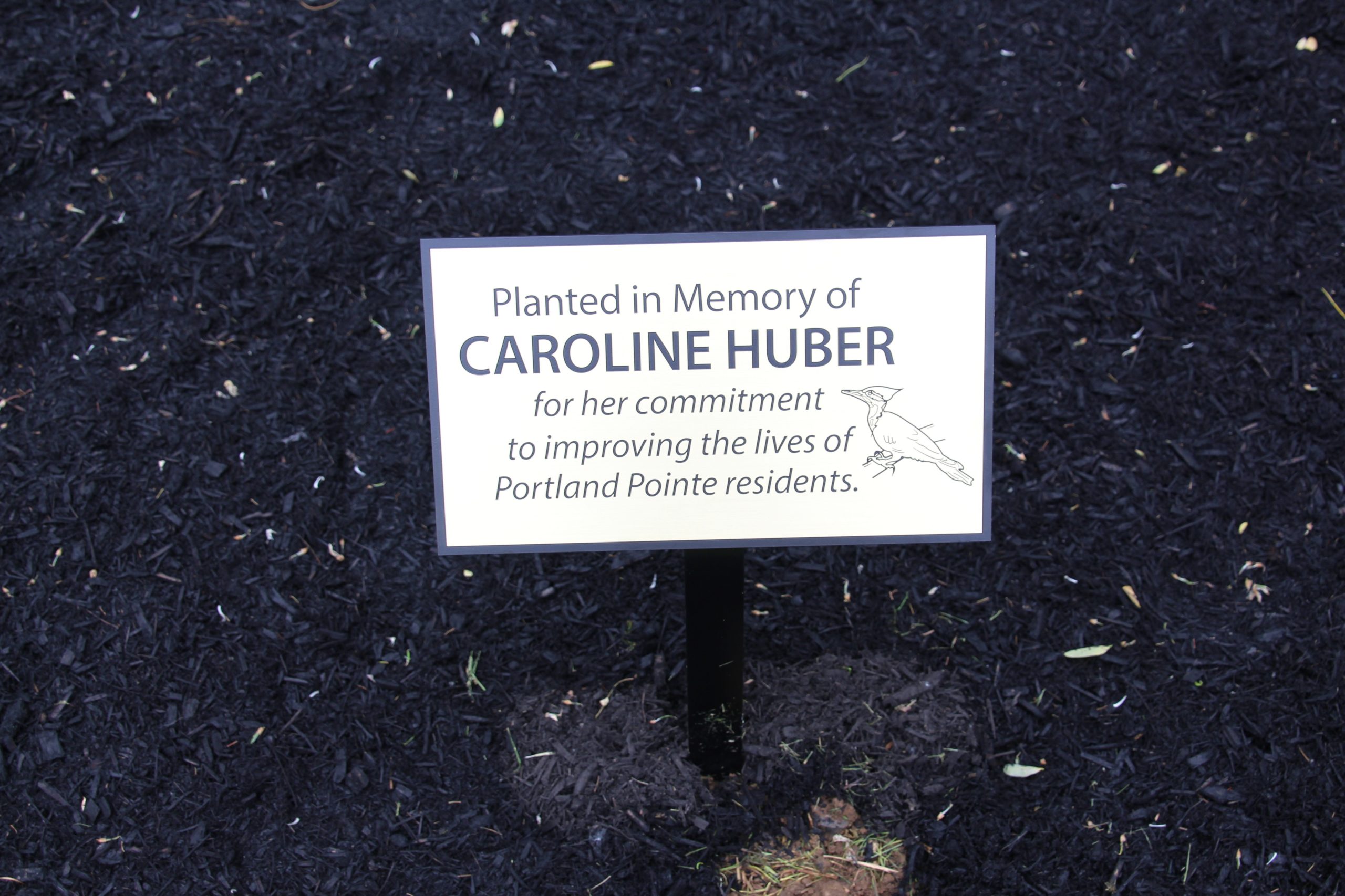 Caroline Huber Memorial Plaque lg | Springpoint
